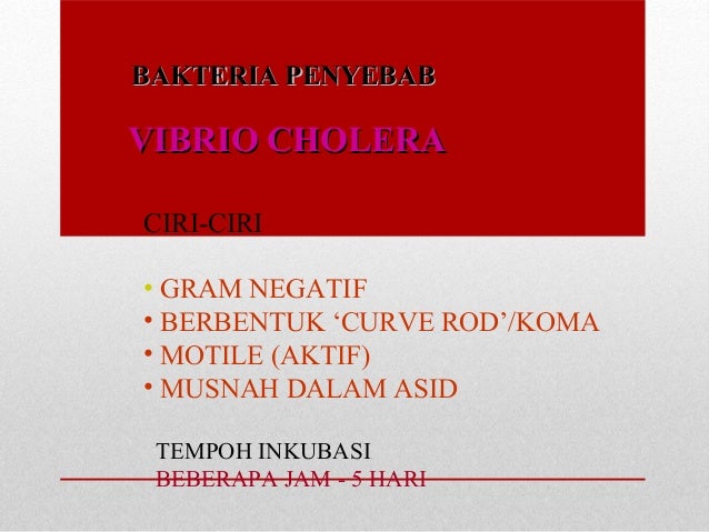 Penyakit Taun - Cholera