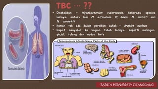 PENYAKIT TBC (tuberculosis) beserta obatnya | PPTX