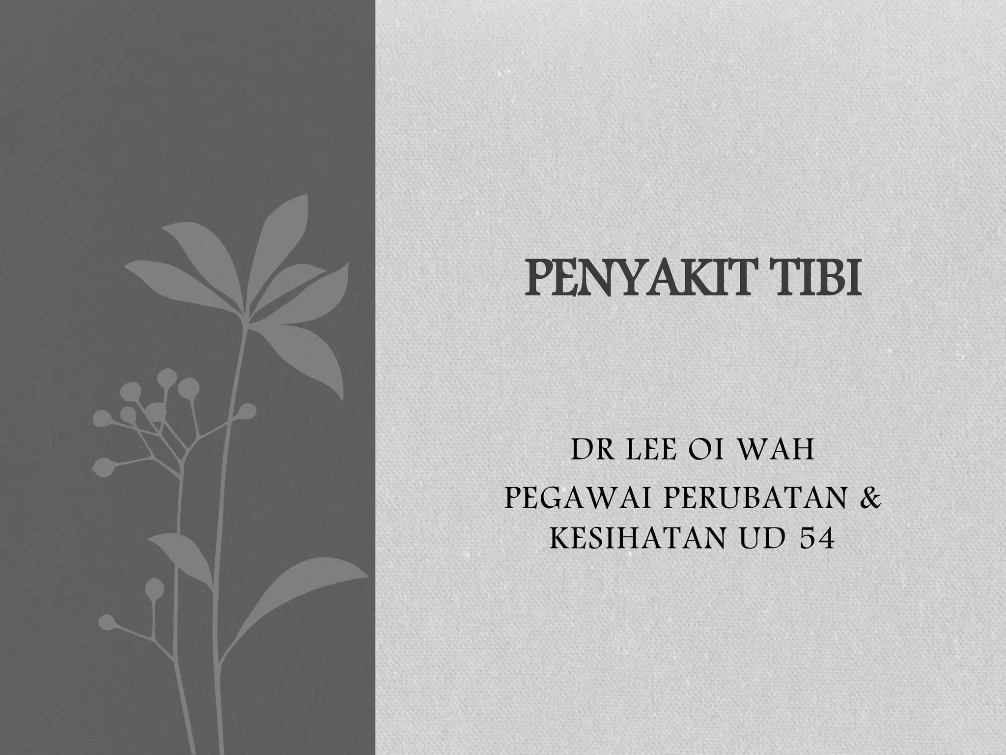 Penyakit tibi | PPTX