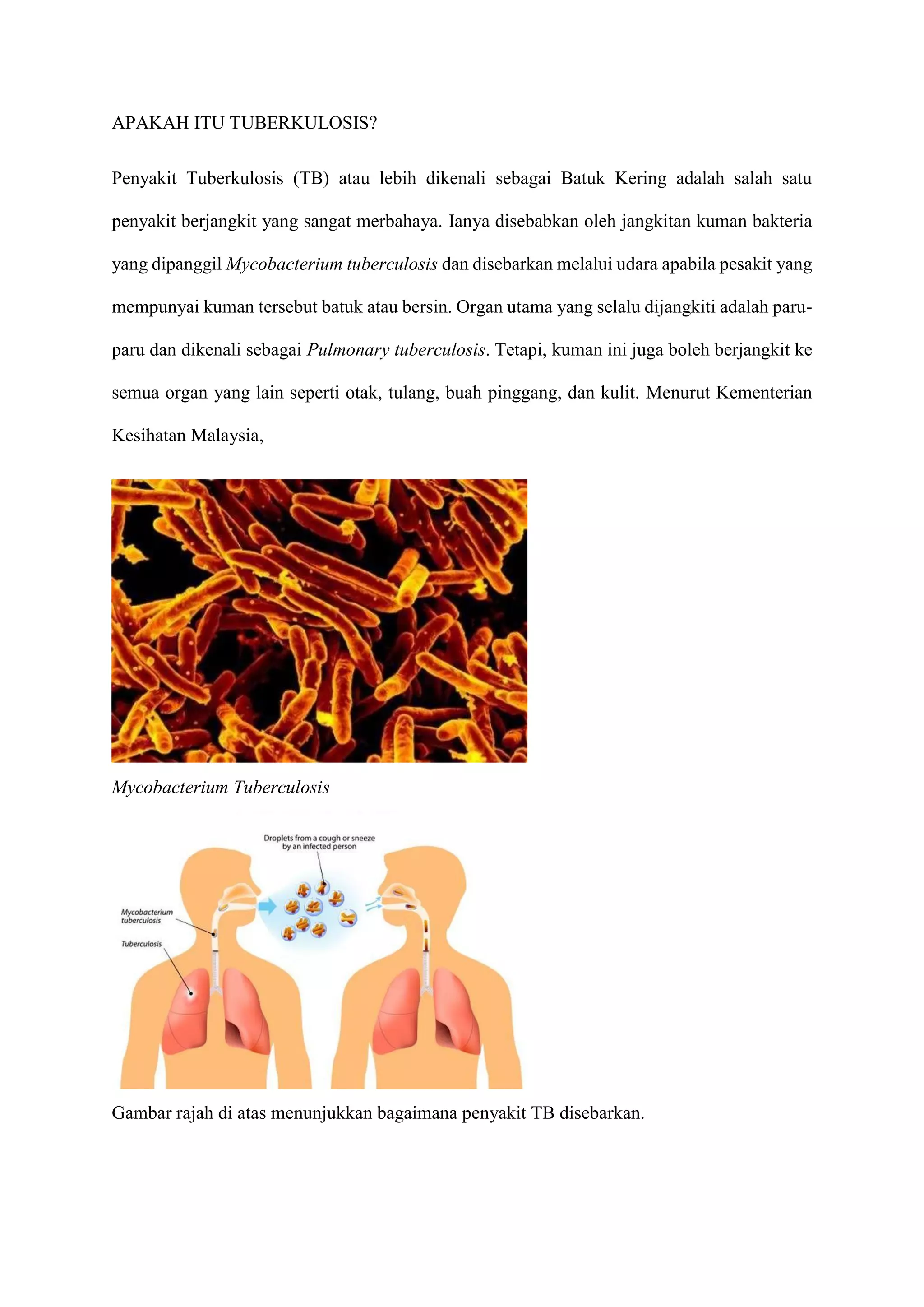 Penyakit tuberkulosis | PDF