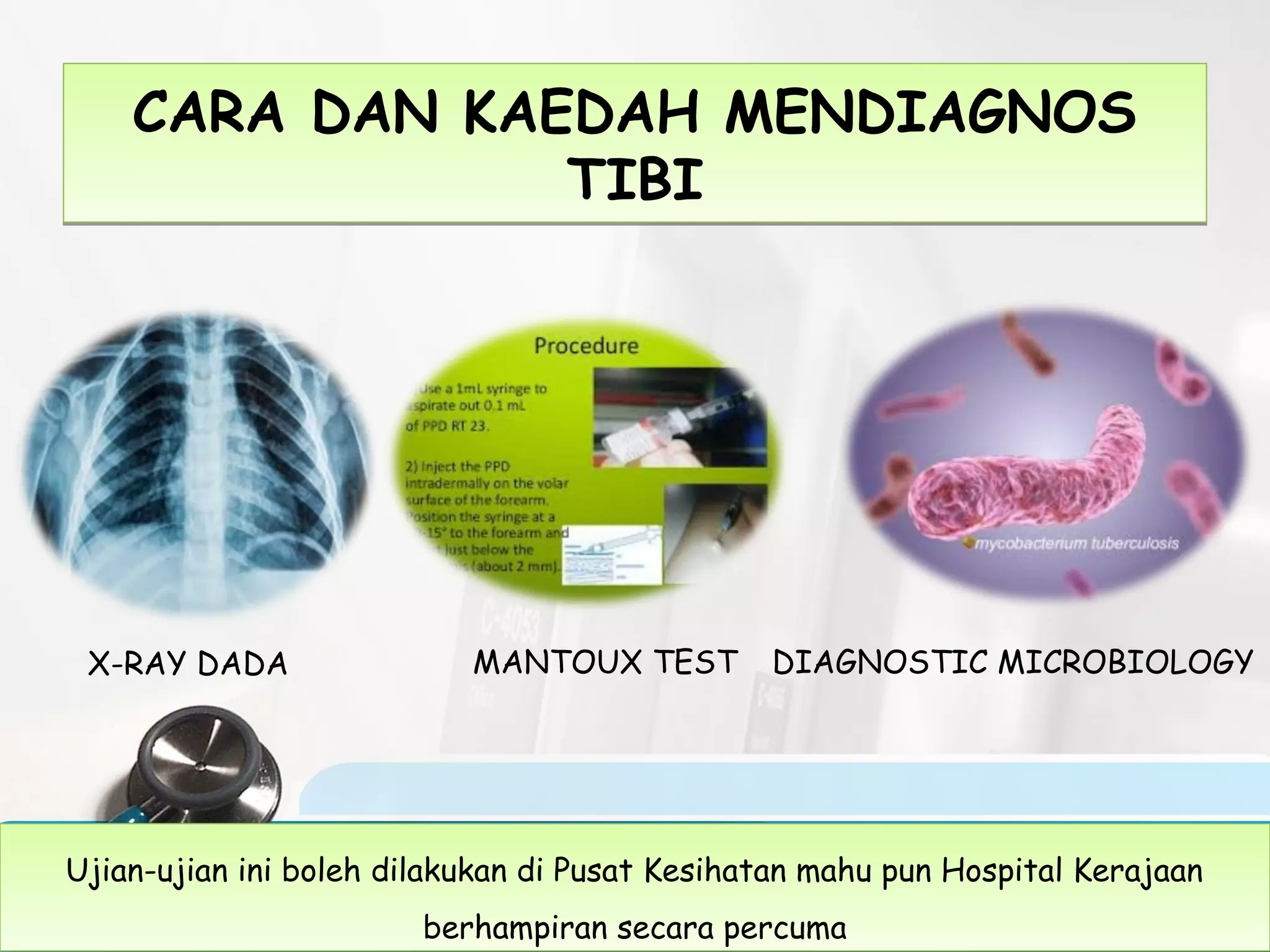 Penyakit tuberkulosis @ tibi dani | PPT