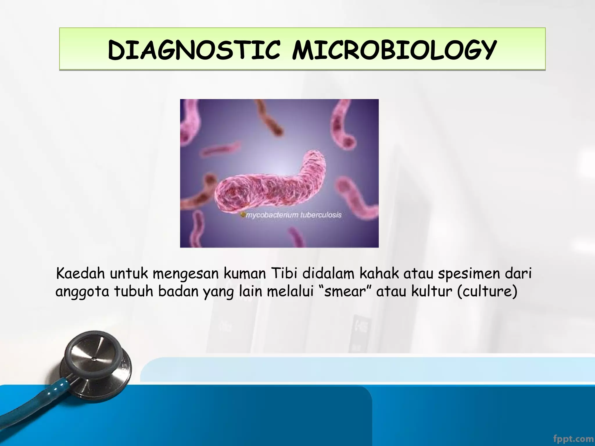 Penyakit tuberkulosis @ tibi dani | PPT