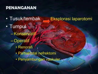 Penyakit urologi | PPT
