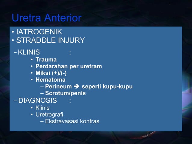 Penyakit urologi | PPT