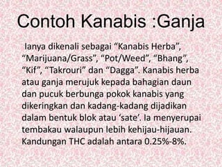 Penyalahgunaan dadah | PPTX