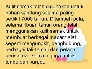 Proses Penyamakan kulit | PPTX