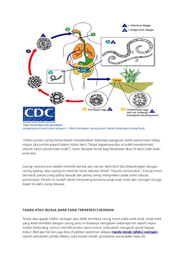 Penyebab cacingan dan cara mengobati parasit cacing perut