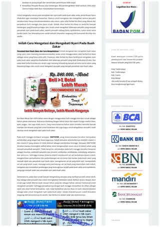 Penyebab Nyeri Buah Zakar dan Cara Mengobatinya | OBAT HERBAL ZAKAR ...