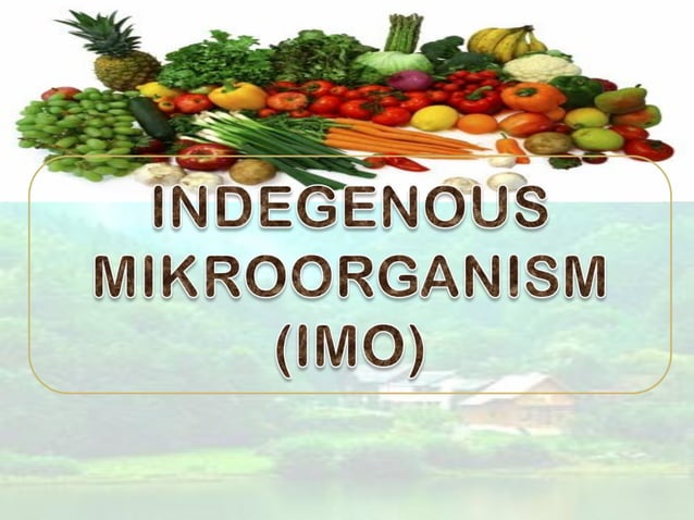 PENYEDIAAN KOMPOS MENGGUNAKAN STOK INDIGENOUS MICROORGANISM (IMO) 1-2 | PPT