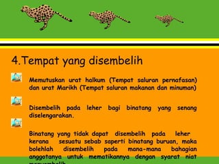 Penyembelihan Menurut Hukum Syarak | PPT