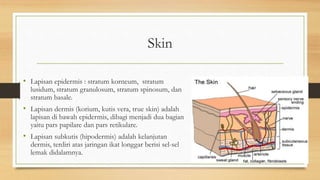Penyembuhan luka | PPT