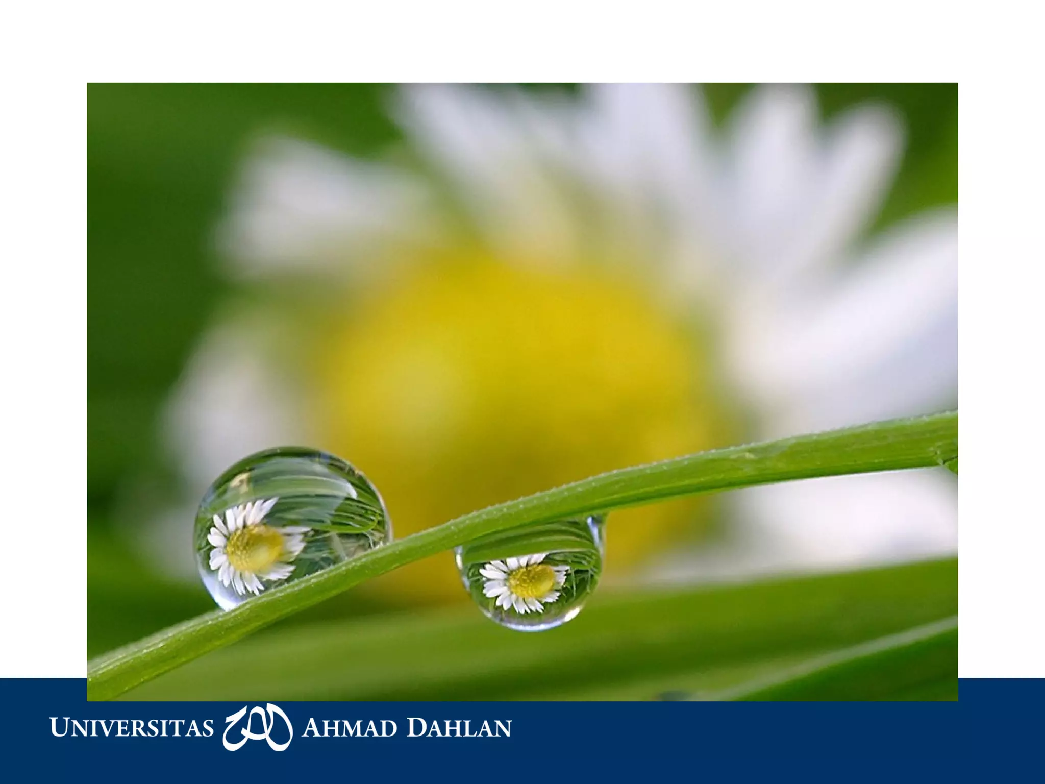 Penyerapan dan Transpor Zat Hara | PPT