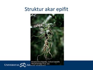 Penyerapan dan Transpor Zat Hara | PPT