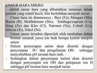 PENYERAPAN UNSUR HARA | PPTX