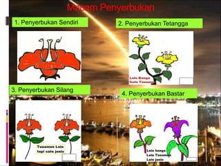 PENYERBUKAN.ppt