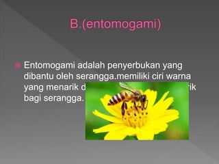 penyerbukan presentasi kelas 9 smpn.pptx