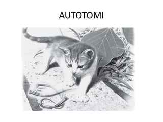 Penyesuaian diri makhluk hidup | PPTX