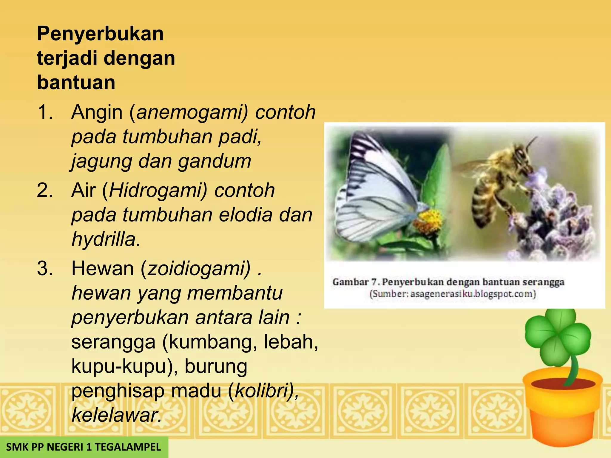 PENYIAPAN-BAHAN-TANAM.pptx