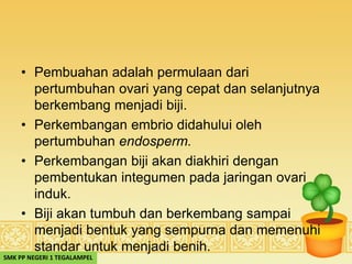 PENYIAPAN-BAHAN-TANAM.pptx