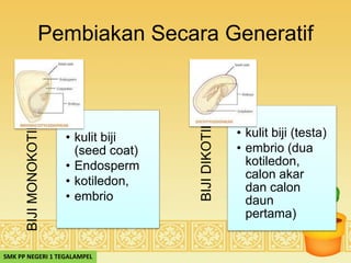 PENYIAPAN-BAHAN-TANAM.pptx