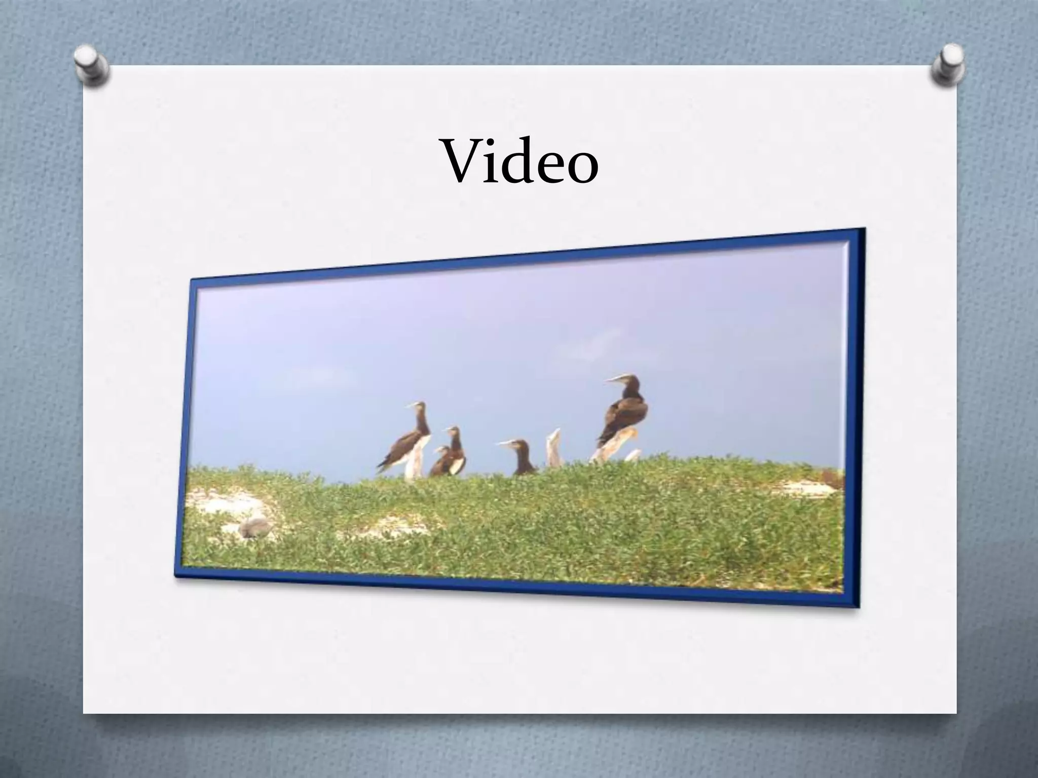 Penyimpanan fail | PPT