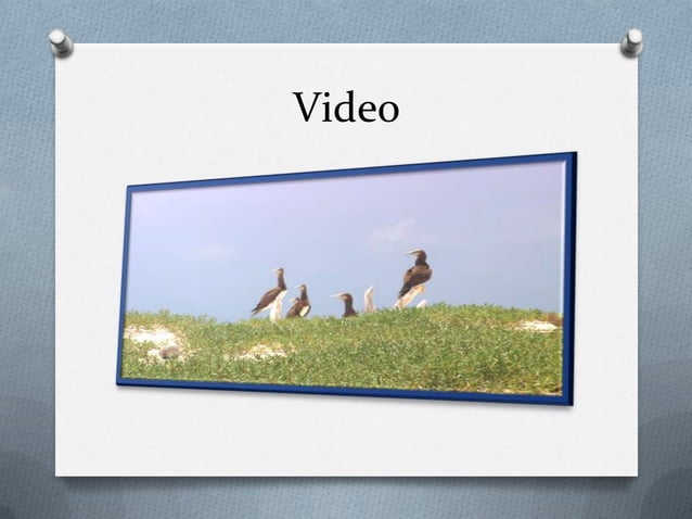 Penyimpanan fail | PPT