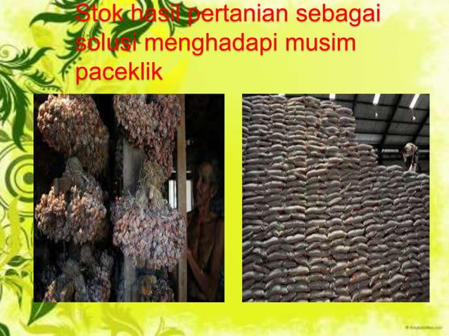 Penyimpanan hasil – hasil pertanian | PPTX