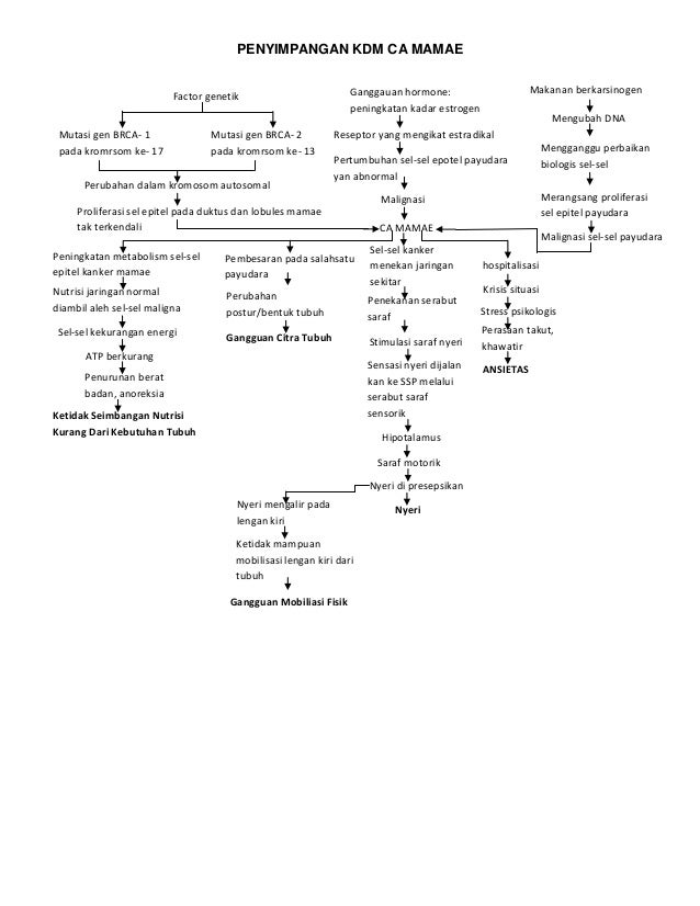 Pathway Tumor Mamae – Beinyu.com