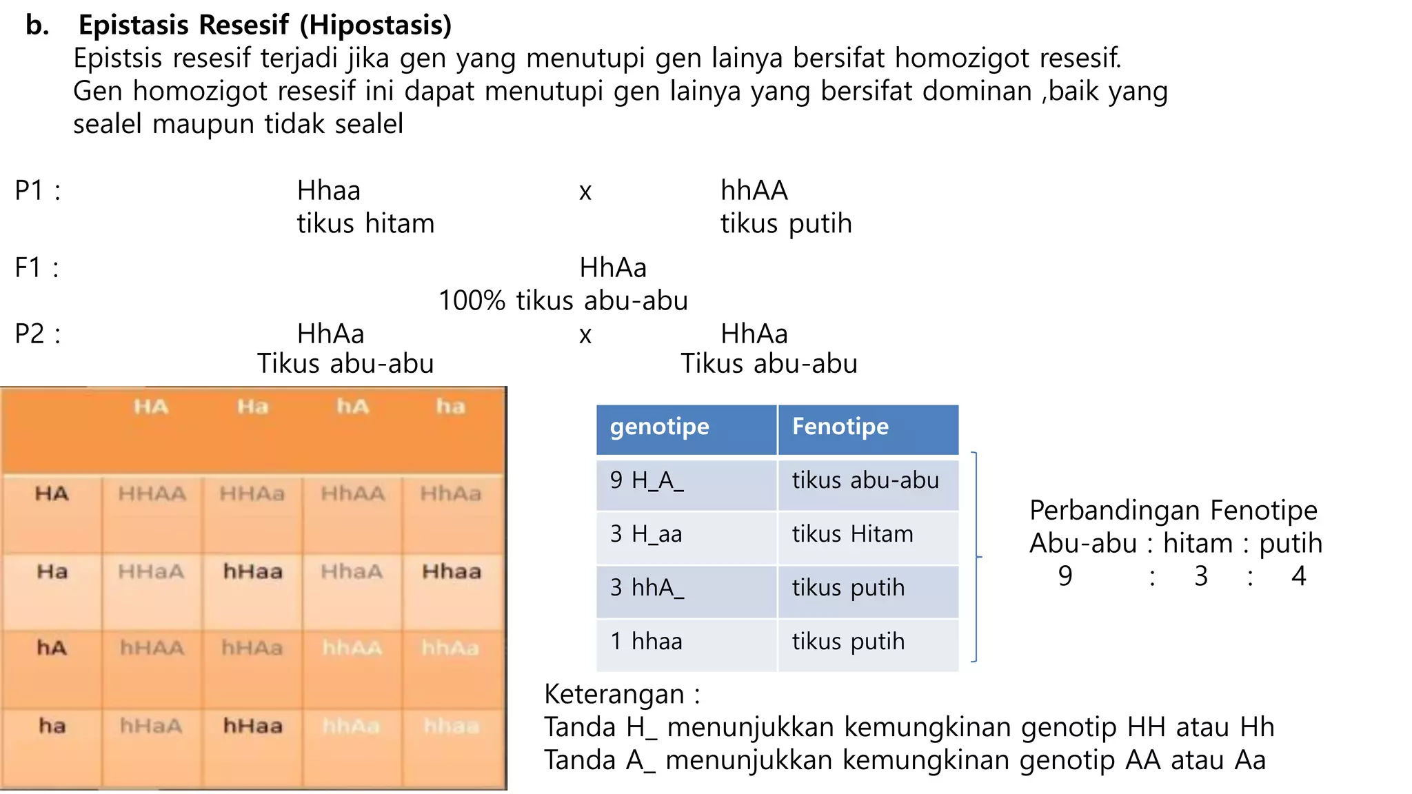 Penyimpangan Semu Hukum Mendel | PPTX