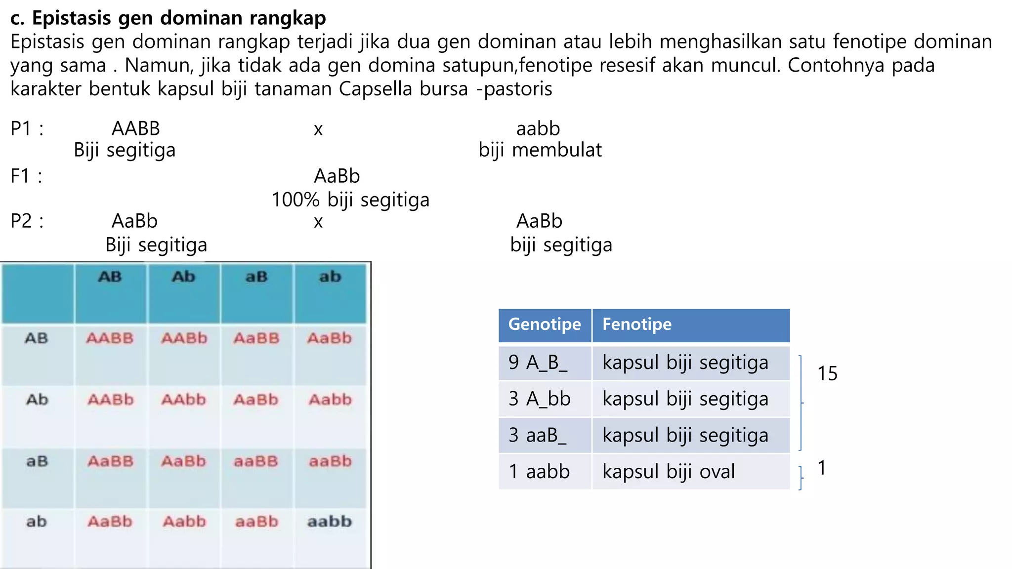 Penyimpangan Semu Hukum Mendel | PPTX
