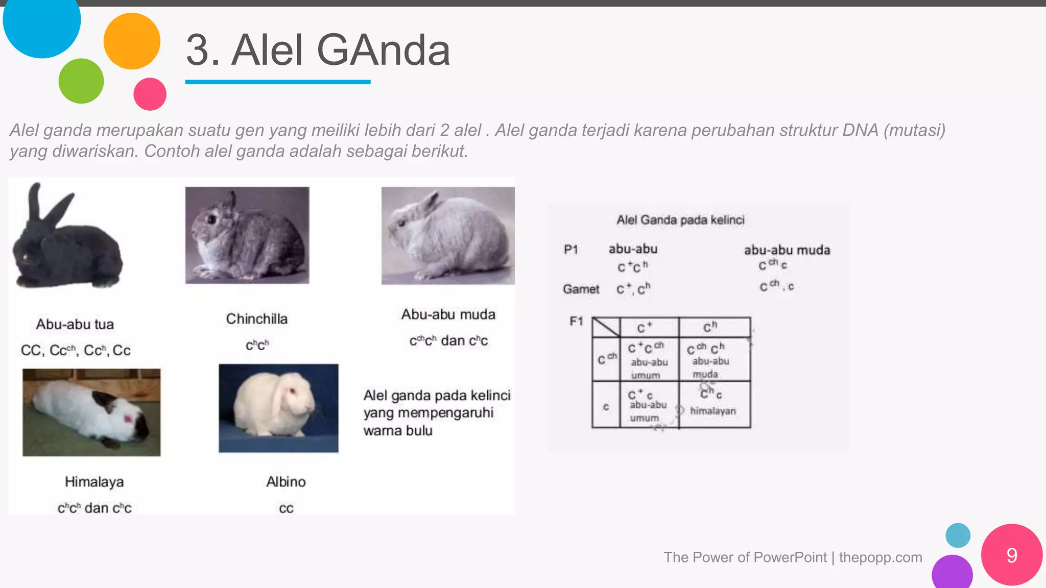 Penyimpangan Semu Hukum Mendel | PPTX