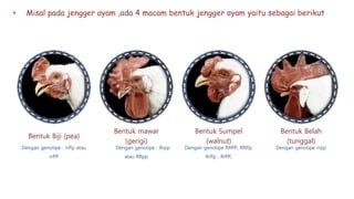 Penyimpangan Semu Hukum Mendel | PPTX