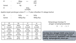 Penyimpangan Semu Hukum Mendel | PPTX