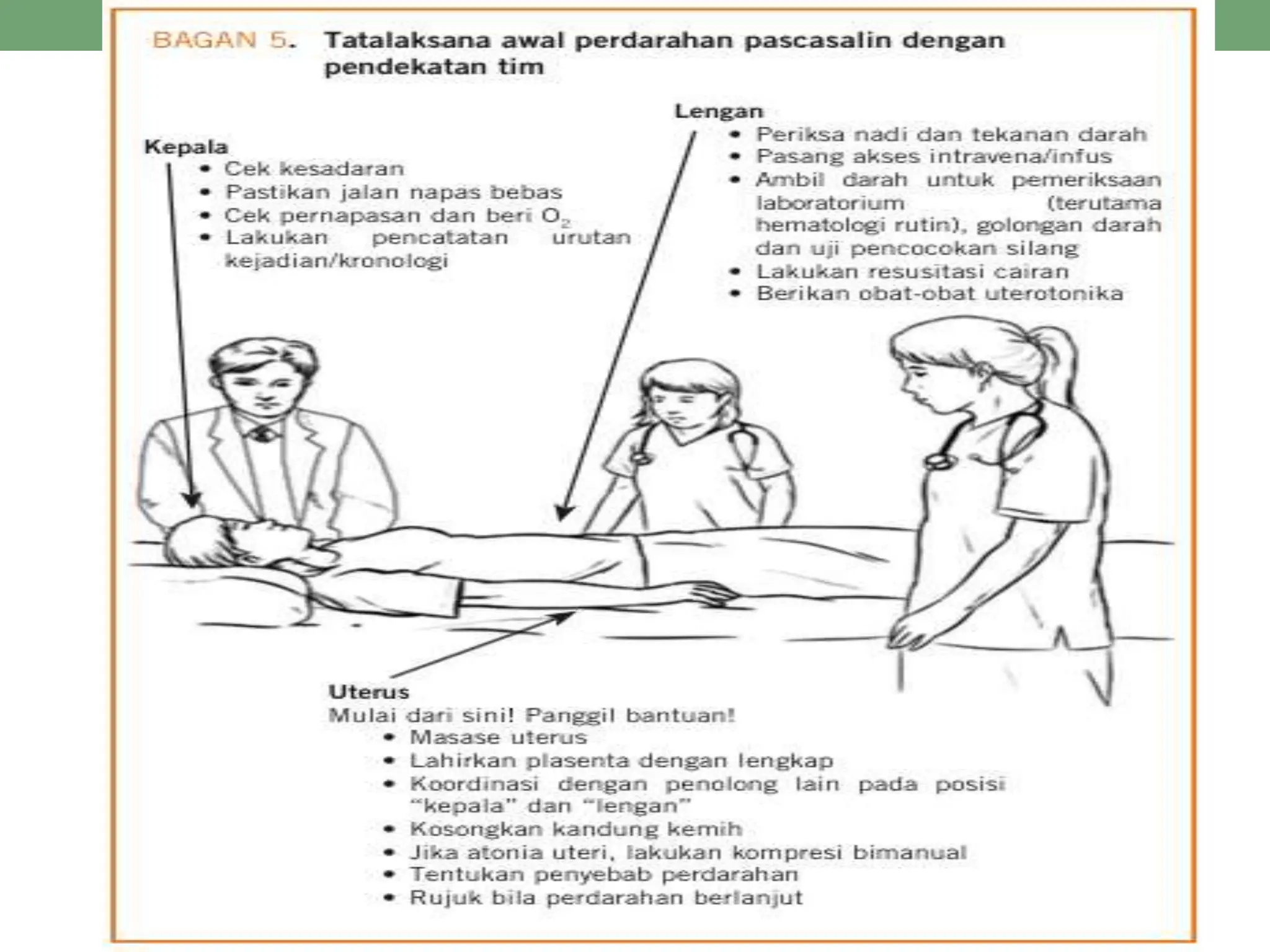 Tata laksana kehamilan dan persalinan dengan penyulit obstetri | PPT