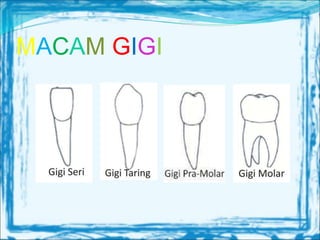 penyuluhan-gigi.ppt