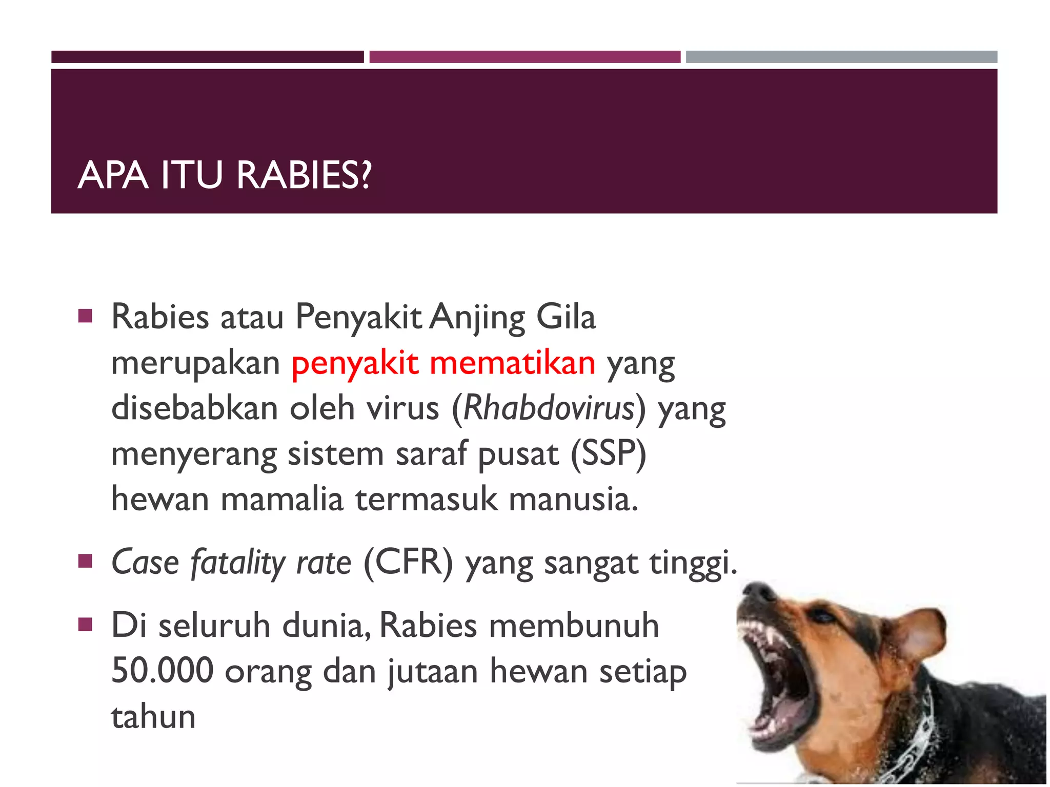 Penyuluhan-Penyakit-Rabies.pdf
