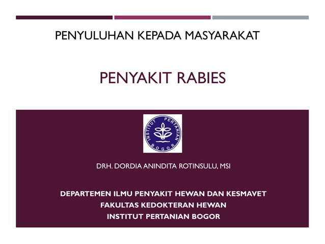 Penyuluhan-Penyakit-Rabies.pdf