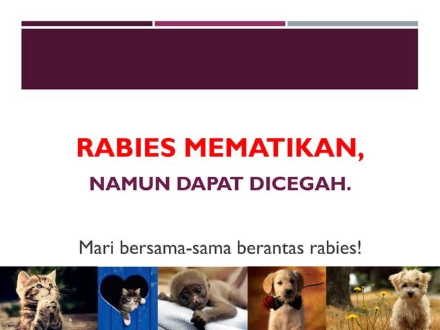 Penyuluhan-Penyakit-Rabies.pdf