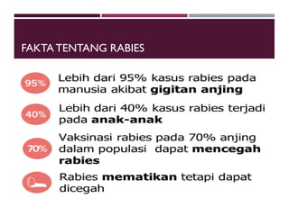 Penyuluhan-Penyakit-Rabies.pdf