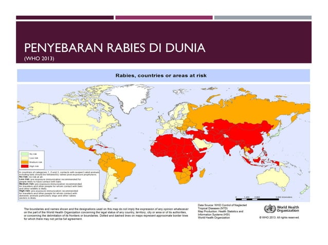 Penyuluhan-Penyakit-Rabies.pdf