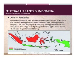 Penyuluhan-Penyakit-Rabies.pdf