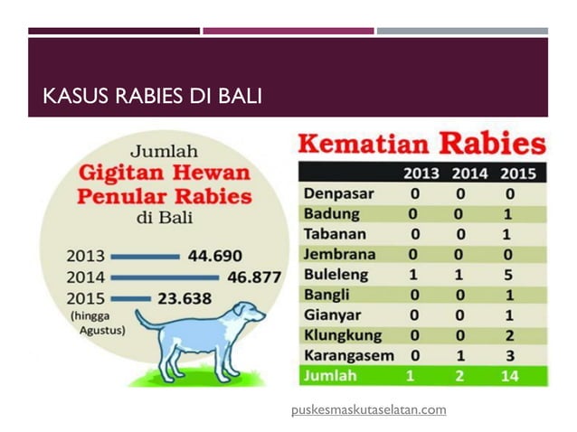 Penyuluhan-Penyakit-Rabies.pdf