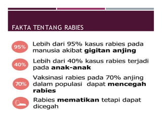 Penyuluhan Penyakit Rabies pada masyarakat | PPTX