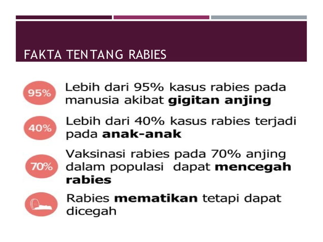 Penyuluhan Penyakit Rabies pada masyarakat | PPTX