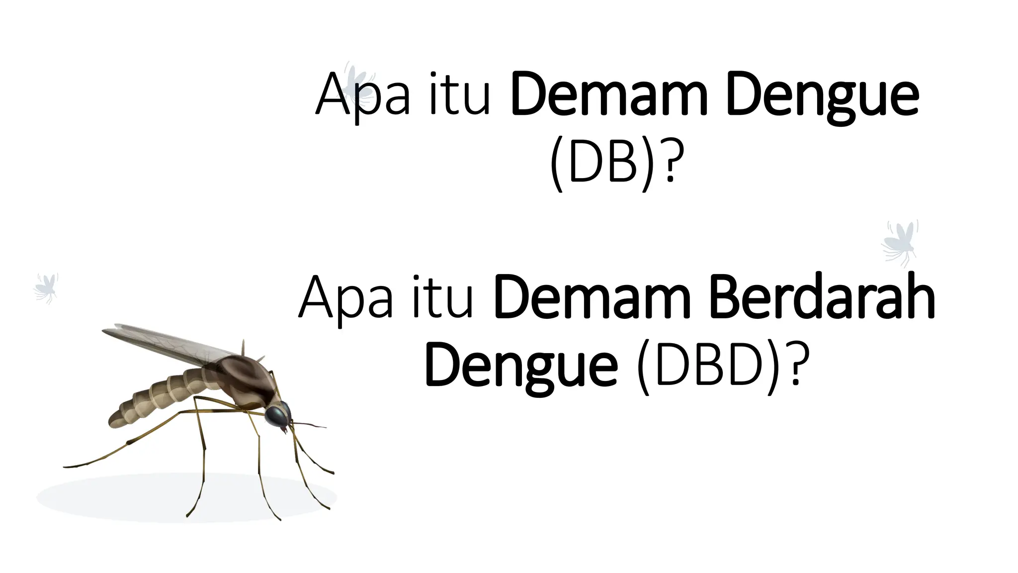 Materi penyuluhan demam berdarah pada masyarakat | PPTX