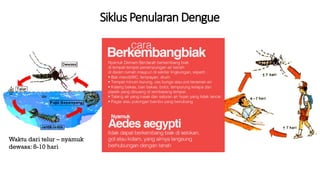 Materi penyuluhan demam berdarah pada masyarakat | PPTX