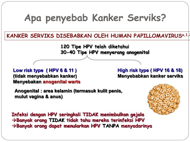 PENYULUHAN TENTANG KANKER LEHER RAHIM PADA USIA PRODUKTIF | PPTX