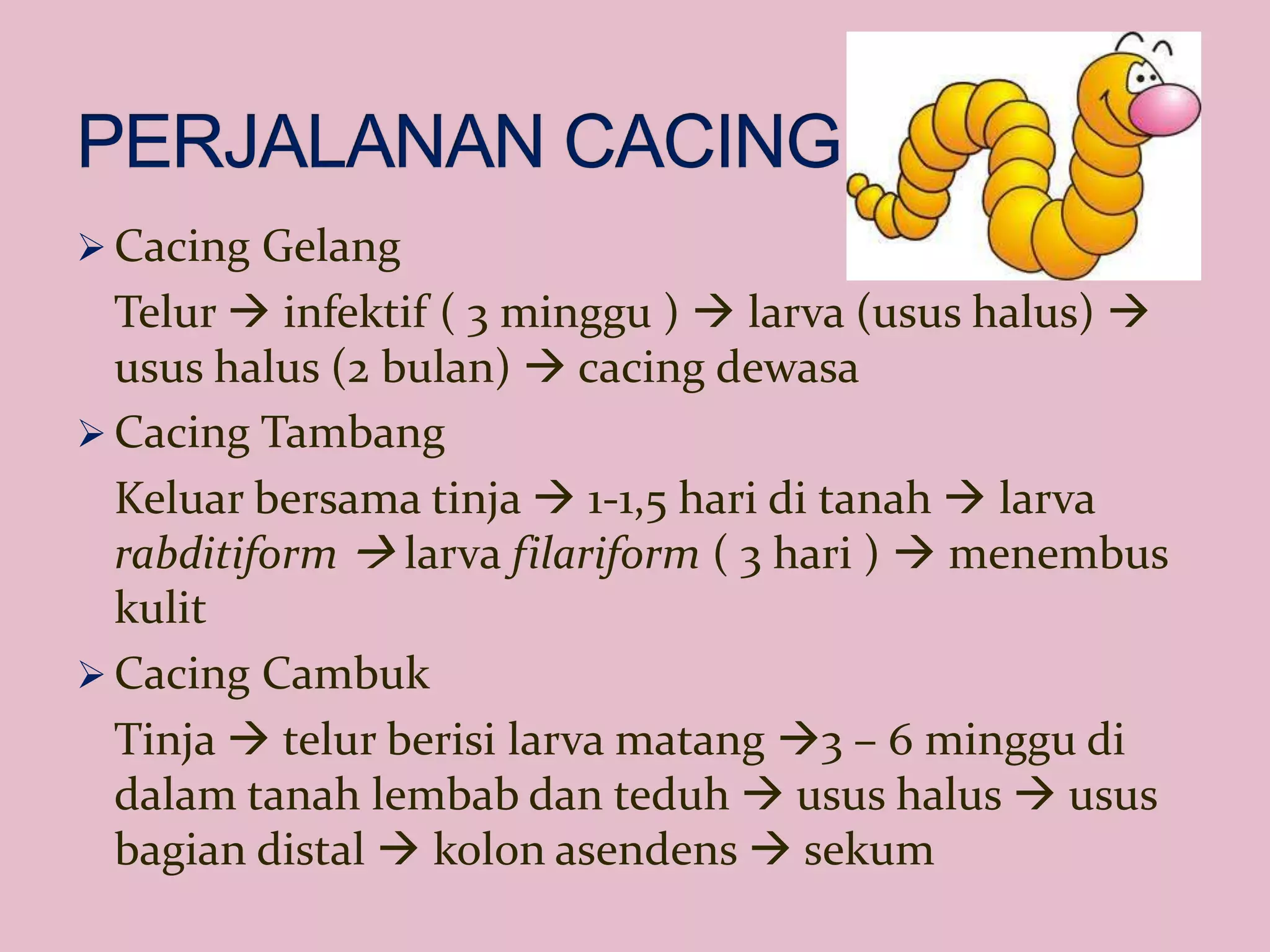 Penyuluhan_cacingan | PPT