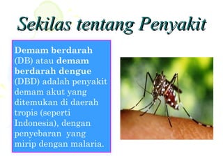 Penyuluhan dbd | PPT