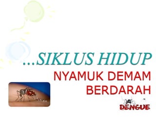 Penyuluhan dbd | PPT